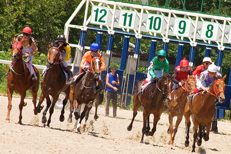 Things To Do In Edmonton | Comfort Inn & Suites Downtown Edmonton